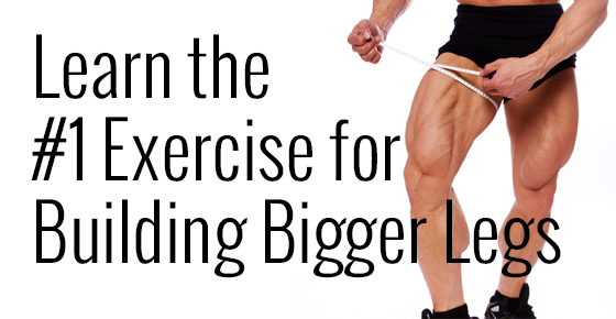 Learn exercises to build bigger legs | JMax Fitness