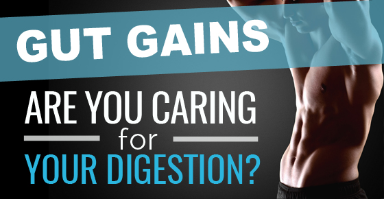Gut Gains: Are You Caring for Your Digestion? - JMax Fitness