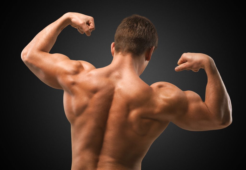 Building Muscle: What Actually Matters - JMax Fitness Building Muscle: What Actually Matters - JMax Fitness